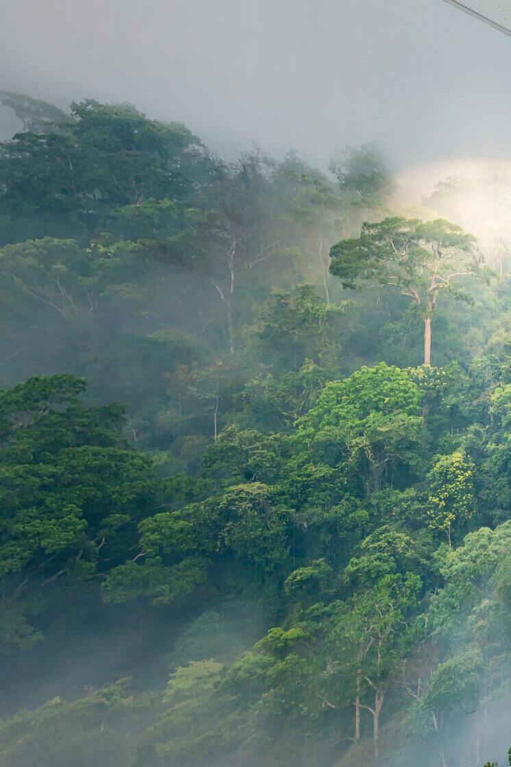 3D Sleep Apnoea & Snoring Treatment | Hopkins Dental Hobart